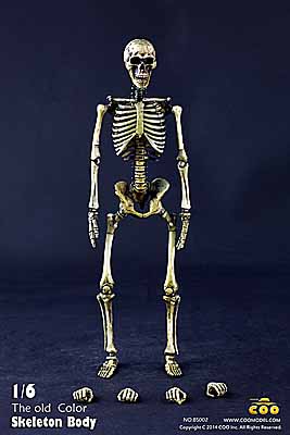 Skeleton BS002: Old Color - Boxed Figure