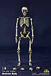Skeleton BS002: Old Color - Boxed Figure