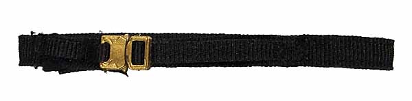 Chris Costa: Trainer - Belt