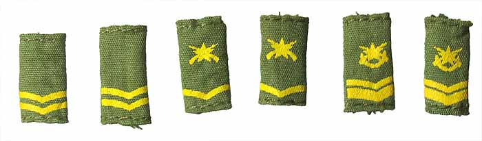 People's Liberation Army (PLA): Medical Service - Patches