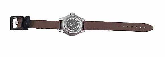 Sakae: Imperial Japanese Navy Pilot - Watch